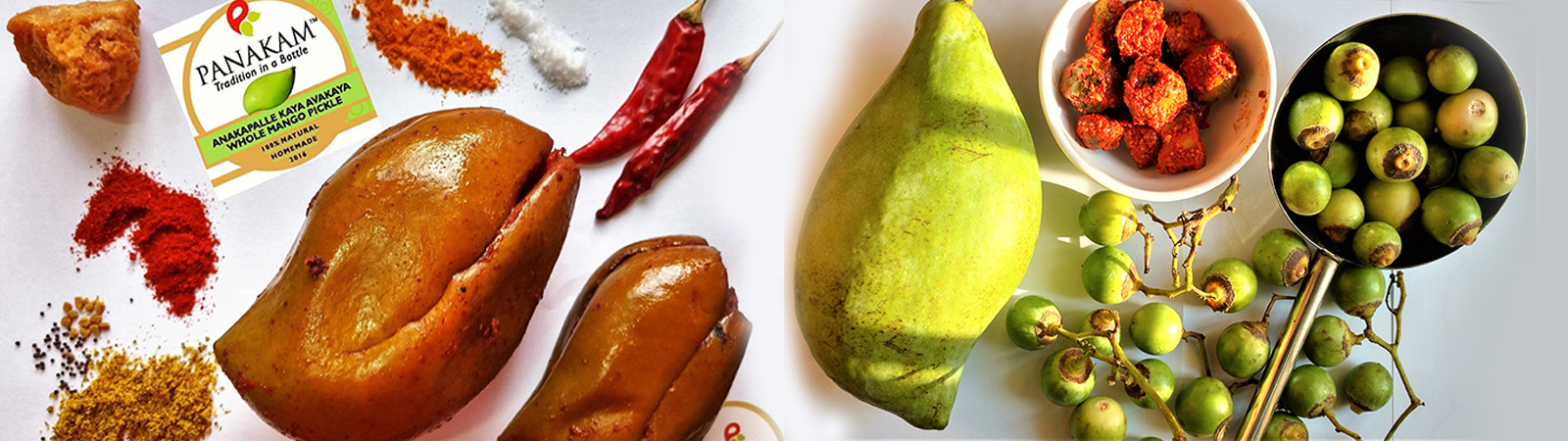 Panakam Project – Panakam